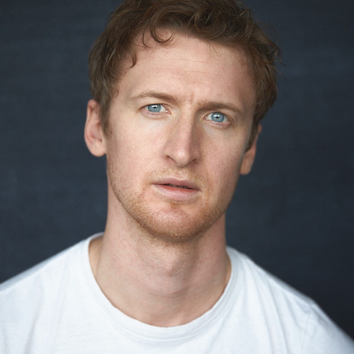 Animal Farm - Nottingham Playhouse